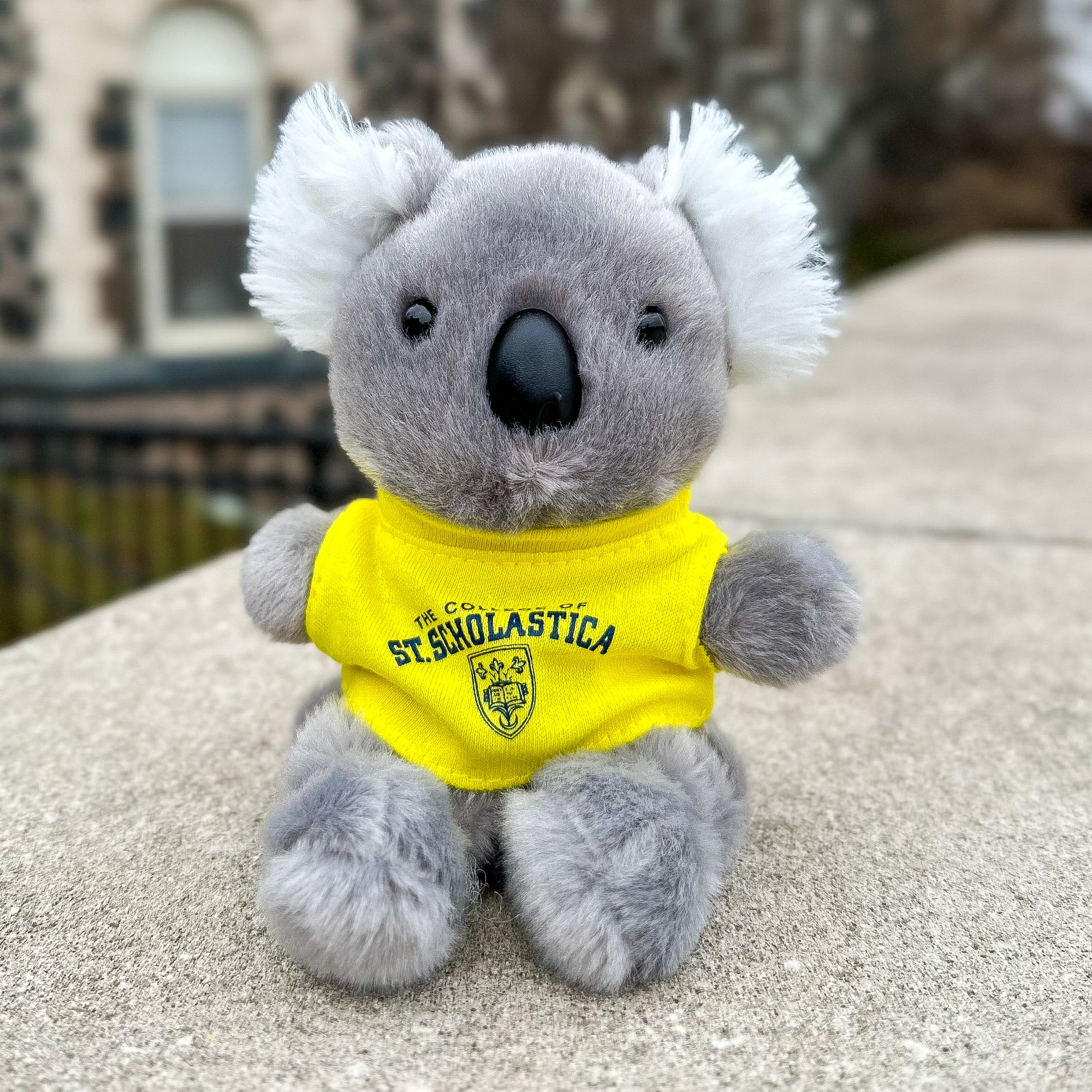 Aurora Palm Pal - Koala